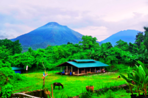 MJ Sadsad Global Realty – We lead to your home.